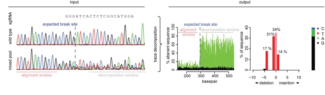 CRISPR 101: Validating Your Genome Edit