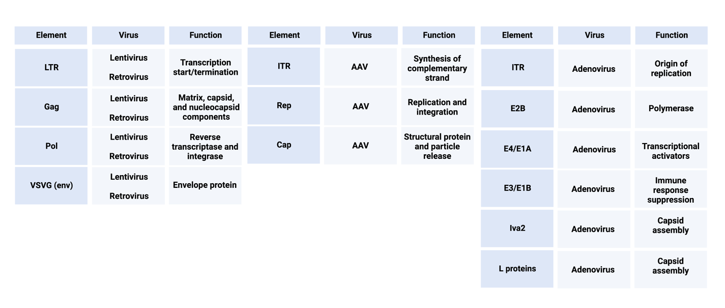 Viral Vectors 101: Viral Vector Elements