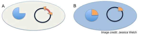 Plasmids 101: Blue-white Screening