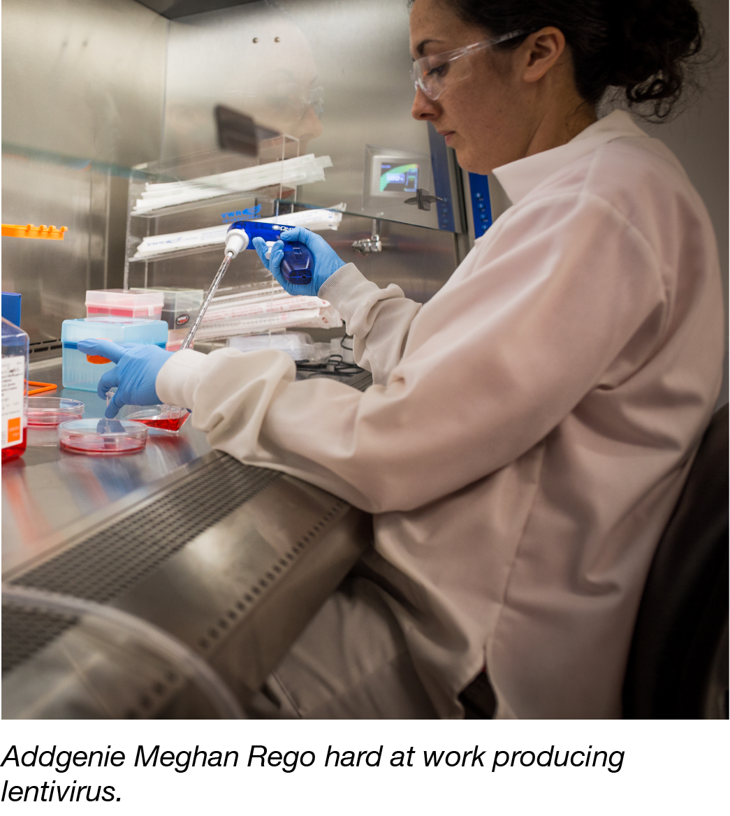 Addgene Blog: A Better Way to Share Science | Viral Vectors